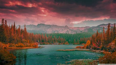 2560 X 1440 Wallpaper Dump Nature Wallpaper Hd Backgrounds