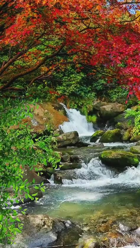 ค้นพบไอเดีย ทำมะชาด และ ธรรมชาติที่สวยงาม 75 รายการ ภาพธรรมชาติ ธรรมชาติ ทิวทัศน์ และอื่นๆ อีก