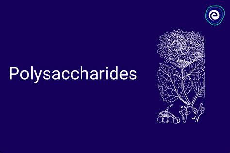 Polysaccharides Definition