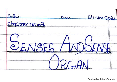 SOLUTION Class Th General Science Notes About Senses And Organ Studypool