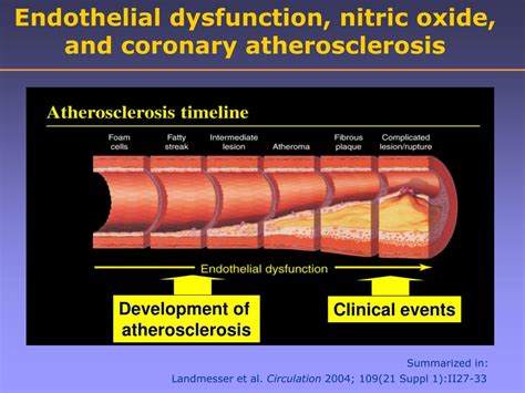 Ppt Hdl C Concentration Versus Hdl Particle Function What Exactly