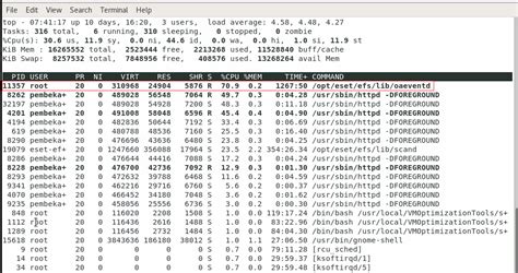 High CPU Usage By Oaeventd ESET Products For Linux Servers ESET