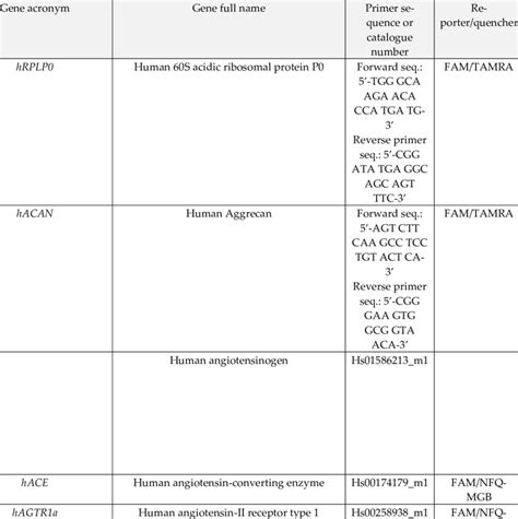 Characteristics Of Custom Designed Primer Probes And Gene Expression Download Scientific