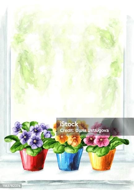 창턱에 밝은 컬러 화분 꽃 흰색 배경에 고립 된 수채화 손으로 그린 그림 수채화에 대한 스톡 벡터 아트 및 기타 이미지 수채화 창문 가정의 방 Istock