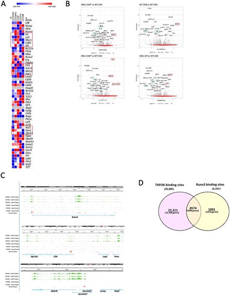 Genes Misregulated Upon Anti Silencer Ablation Are Often Direct Targets
