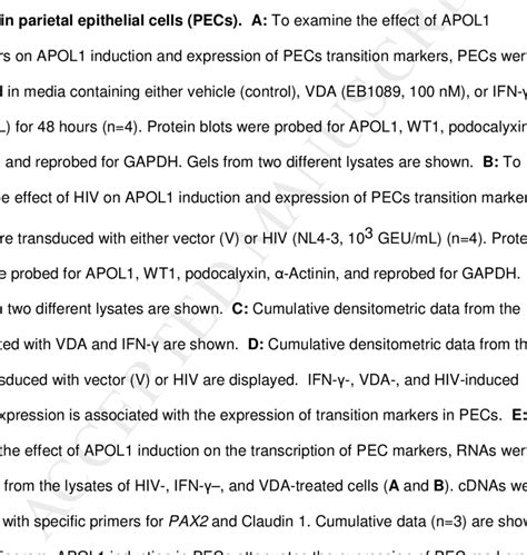 Hiv Interferon Inf γ And Vdr Agonists Induce Apol1 And Transition Download Scientific Diagram