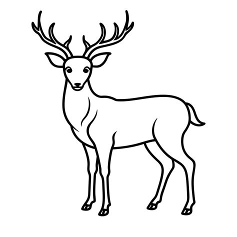 Deer Line Art Graphic Resource 42064203 Vector Art At Vecteezy