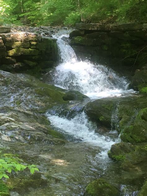 “living Water And Leaky Containers” A Devotion On Jeremiah 2 13 When I Survey