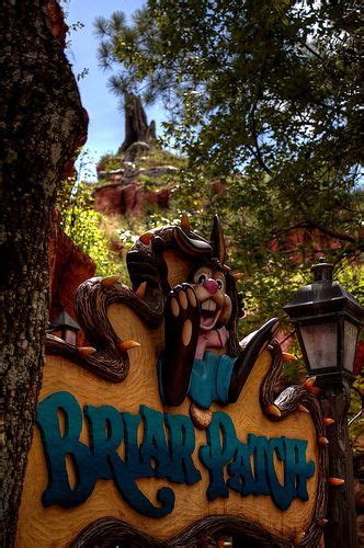 The Briar Patch Disney Rides Disney World Magic Kingdom Disney