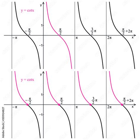 Graph Of The Cotangent On A White Background Graphic Presentation For