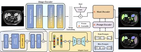 Sam Med2d:打破自然图像与医学图像的领域鸿沟,医疗版 Sam 开源了! 知乎 Sam Med2d:打破自然图像与医学图像的领域鸿沟,医疗版 Sam 开源了! 知乎