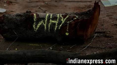 Trees Cut For Factory In Odisha Forest Rules May Have Been Violated Says NGT India News