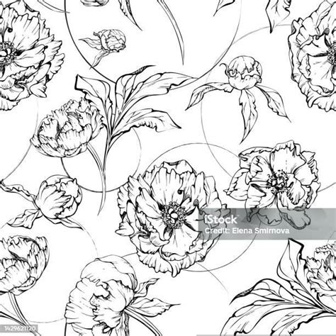 손으로 그린 벡터는 모란 꽃 새싹 및 나뭇잎으로 매끄러운 패턴입니다 흰색 배경에 고립되어 있습니다 초대장 결혼식 또는 인사말 카드 벽지 인쇄 섬유 포장지 디자인 0명에 대한