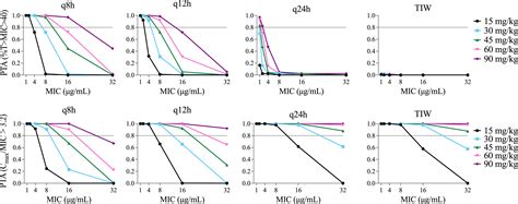 Time Dependent Pharmacodynamics Of Amikacin On Mycobacterium Abscessus