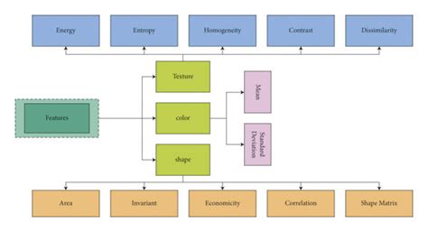 Features Extraction Of Texture Color And Shape Features Download Scientific Diagram