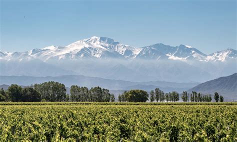 Is Mendoza Worth Visiting 11 Pros Of The Wine Region