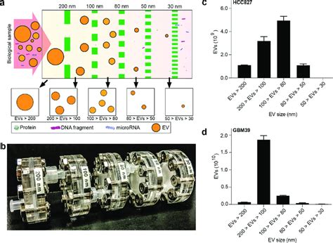 Size Based Isolation Of Evs Using The Exotic Device A Design Download Scientific Diagram