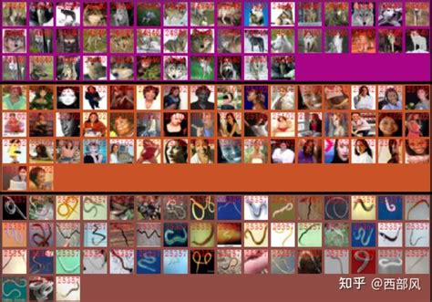 Cifar100数据集 知乎