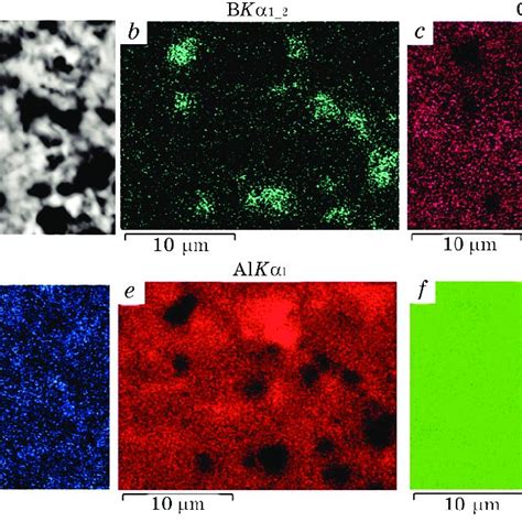 Typical Sem Micrographs Of Composite Ti 3 Al 11 C 2 5 Wt B 2 O 3