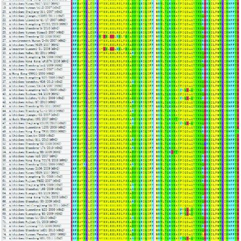 Primers Of Real Time Fluorescence Pcr Download Scientific Diagram
