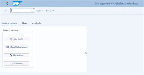 Using Sap Bw Authorization Relevant Infoobject In Sap Community
