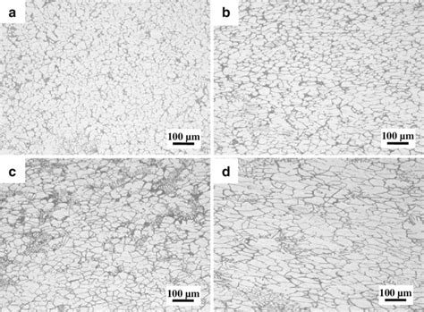The Cross Section And The Longitudinal Section Microstructures Of The Download Scientific