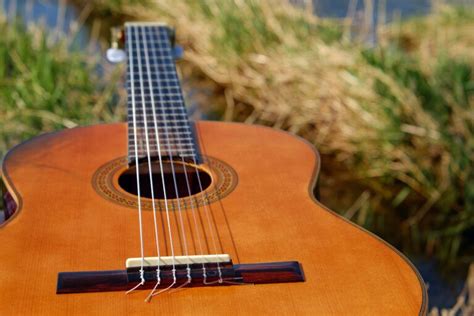 How To Change Acoustic Guitar Strings 5 Essential Steps