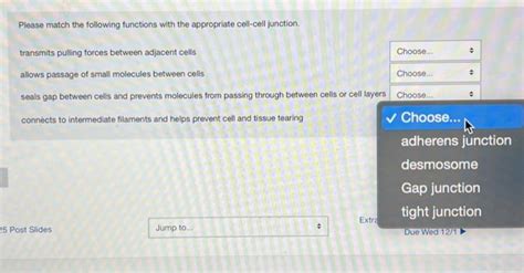Solved Please Match The Following Functions With The Chegg