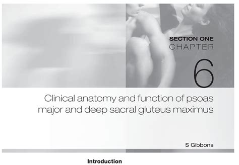 Figure 1 From Clinical Anatomy And Function Of Psoas Major