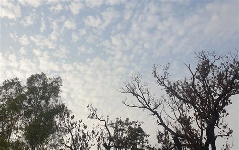 A Step By Step Guide To Using Rest Apis From Basic To Advanced By Saurabh Verma Medium