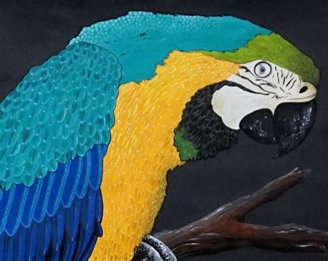 Danielle Mate Sullivan Danielle Mate Sullivan Australian Aboriginal