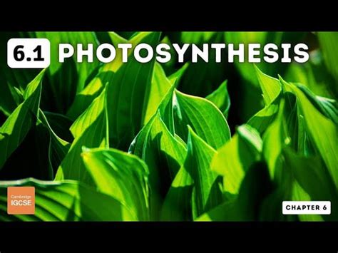 Creating A Resource Based Weapon System In Godot 4 A Comprehensive