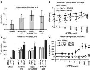 Effect Of Sparc On Fibroblast Proliferation And Migration A Download Scientific Diagram