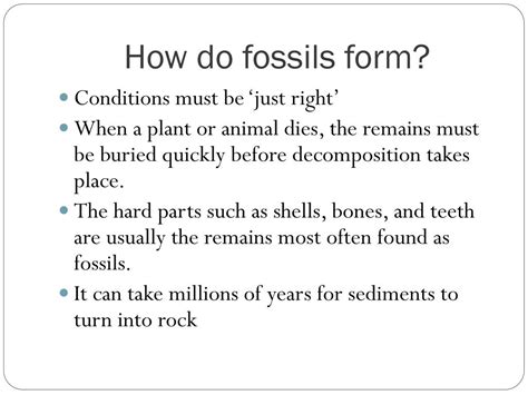 PPT Fossils And Time PowerPoint Presentation Free Download ID 2248905