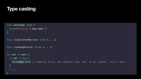 Type Casting And Inspection Ppt