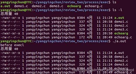 Exec族函数————execl Execlp Execle Execv Execvp Execvpeexec族函数介绍 Csdn博客