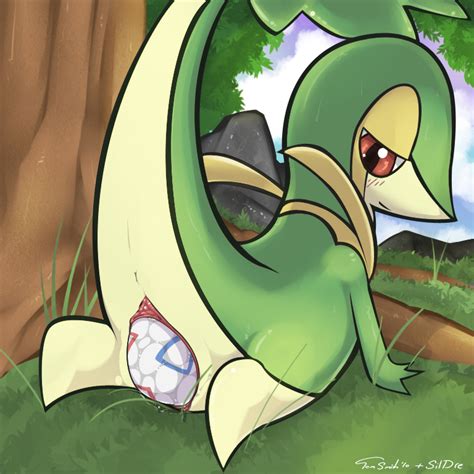 Rule 34 Egg Insomniacovrlrd Pokemon Pokemon Species Pokemon Bw Pokemon Egg Sildre Snivy