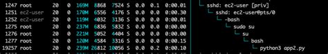 pandas with flask spins multiple subprocesses · issue 3353 · pallets