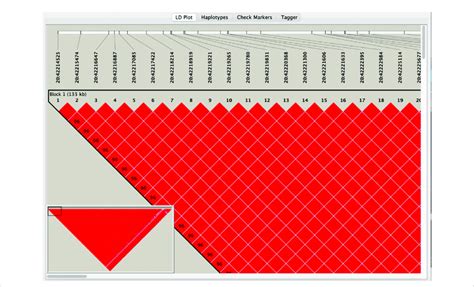 Visualisation Of Linkage Disequilibrium Analysis By Haploview Download Scientific Diagram