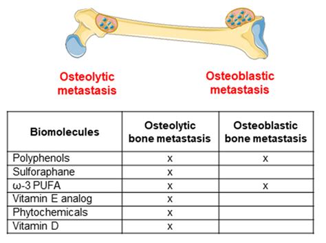 Dietary Compounds Involved In The Inhibition Of Osteolytic And