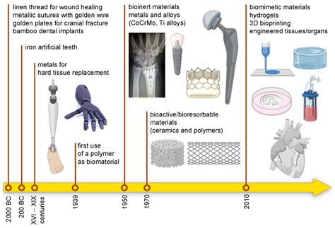 Different Types Of Biomaterials And Their Uses