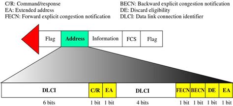 Data Communication Networking Frame Relay Frame Format