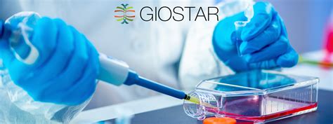 Dr Prabhat Soni Giostar