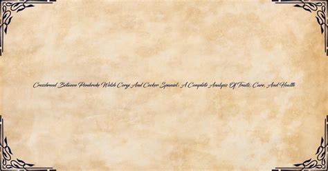 Crossbreed Between Pembroke Welsh Corgi And Cocker Spaniel Traits Care And Health