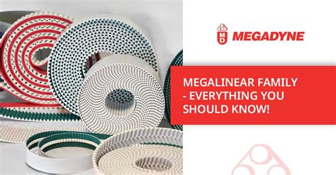 Megadyne Group on LinkedIn: #powertransmission #development #innovation