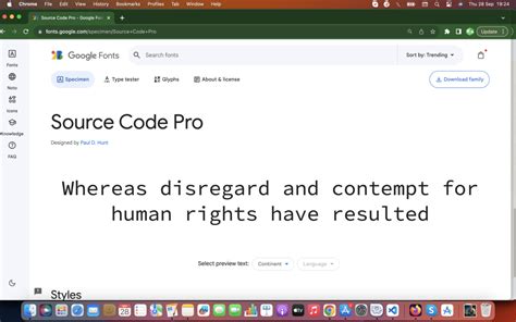 Retina Display And Coding Fonts A Guide For Clarity