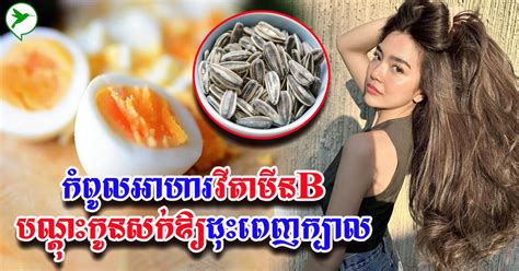សក់ជ្រុះគួរសាក កំពូលអាហារវីតាមីនb បណ្ដុះកូនសក់ឱ្យដោះលឿនដូចសណ្ដែកបណ្តុះ