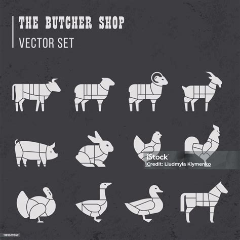 고기 컷 세트 정육점 다이어그램 닭고기 쇠고기 돼지고기 등의 구성 자르기에 대한 스톡 벡터 아트 및 기타 이미지 자르기