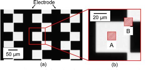 Figure 1 From Quantitative Evaluation Of Dielectrophoretic Captured Fluorescent Labeled Exosomes