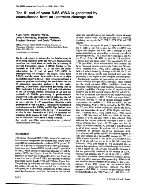 Pdf The 5 End Of Yeast 5 8s Rrna Is Generated By Exonucleases From An Upstream Cleavage Site